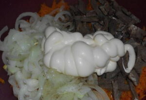 Cœur de porc - 10 délicieuses recettes avec photos étape par étape