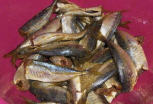 Carapau – 8 receitas deliciosas com fotos passo a passo